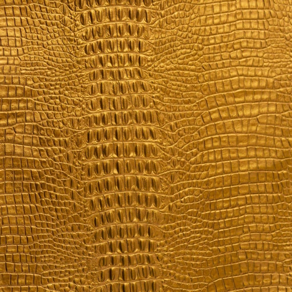 Baby Gator | Jamie Stern Design