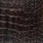 Caiman | Jamie Stern Design