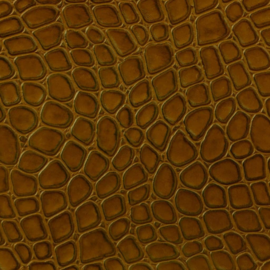 Galapagos | Jamie Stern Design