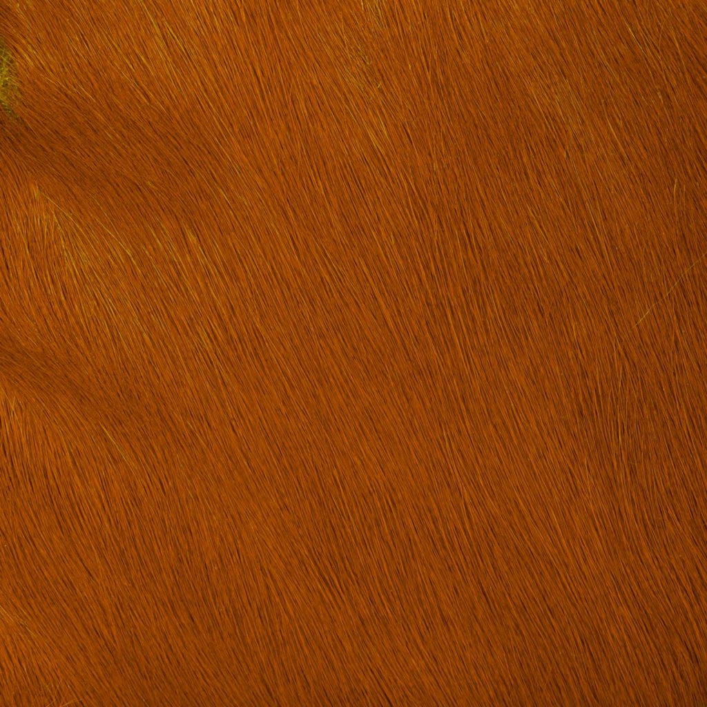 Rust | Jamie Stern Design