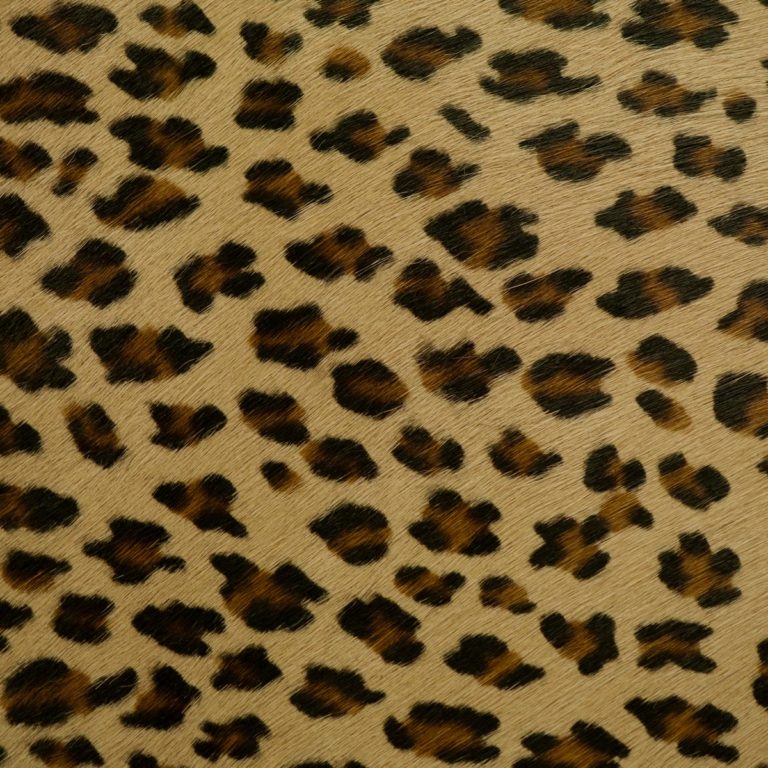 Cheetah Pattern Hair-on-Hide Leather | Jamie Stern Design