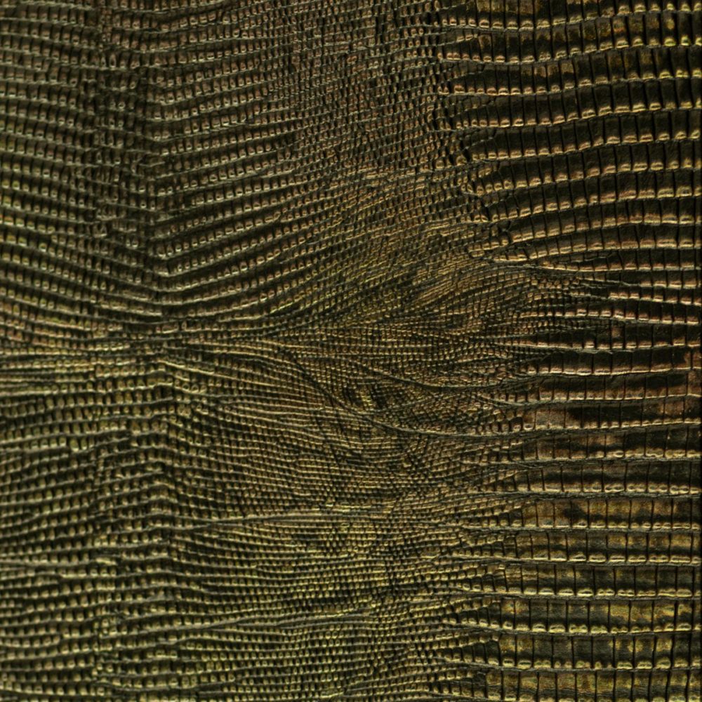 Lizard | Jamie Stern Design