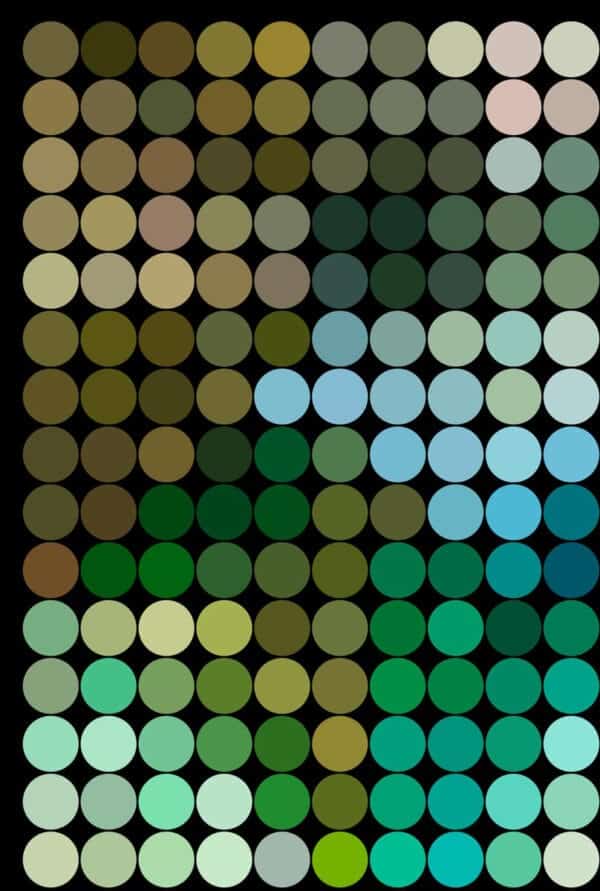 Pom Box Color Selector | Carpet & Rugs | Jamie Stern Design