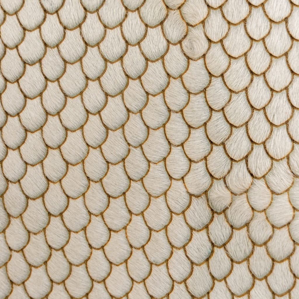 Embossed Patterns - Leather - Jamie Stern Design