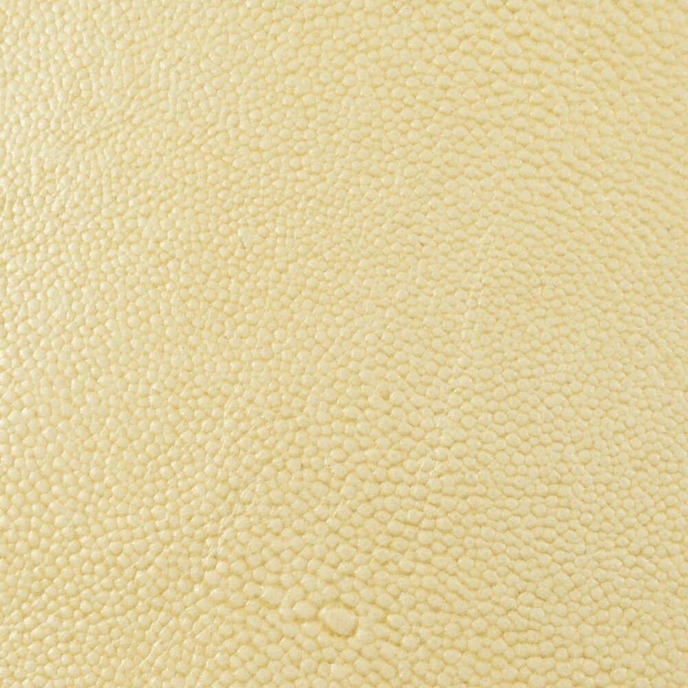 Shagreen Leather | Embossed | Jamie Stern Design