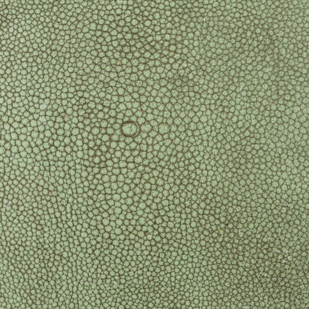Shagreen Leather | Embossed | Jamie Stern Design