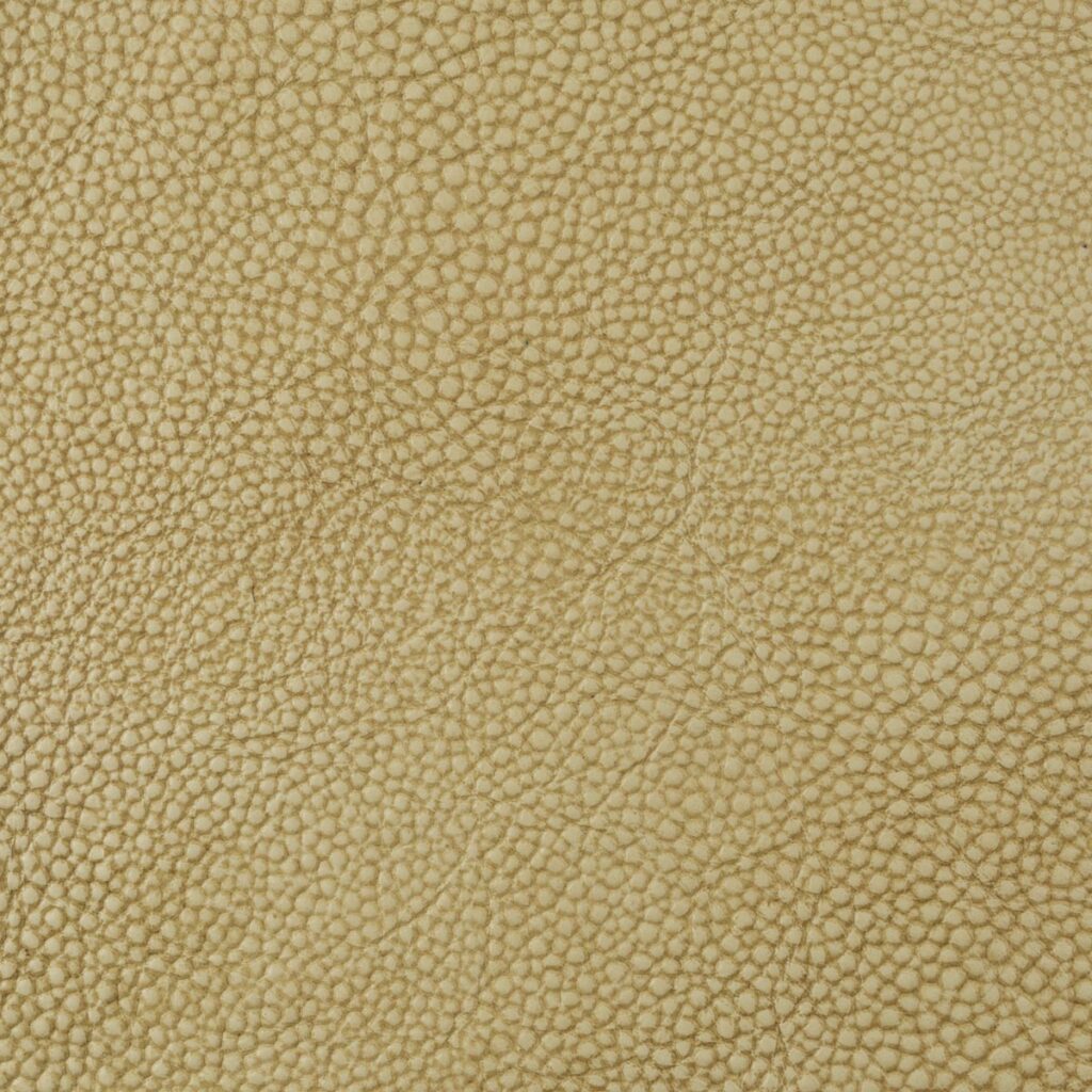 Shagreen Leather | Embossed | Jamie Stern Design